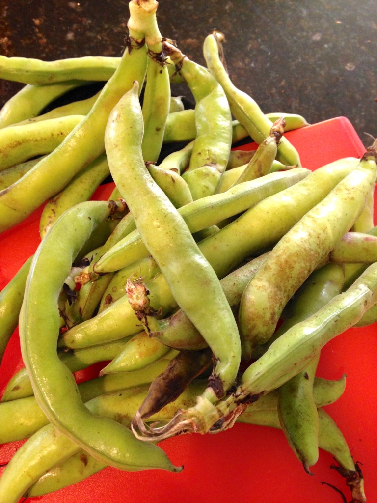 Fresh Fava Bean w Pasta Recipe – Chef Paulette