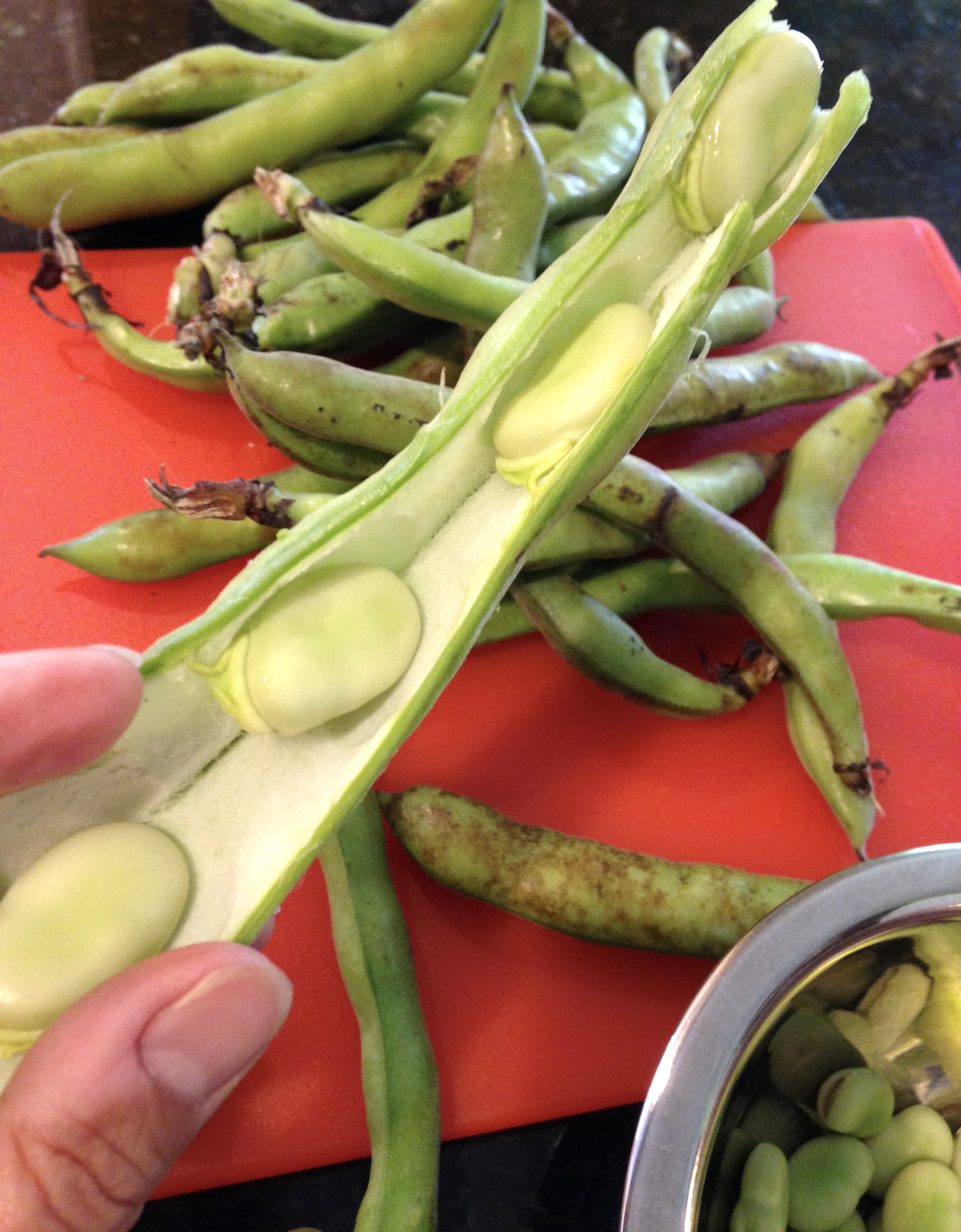 Fresh Fava Bean w Pasta Recipe – Chef Paulette