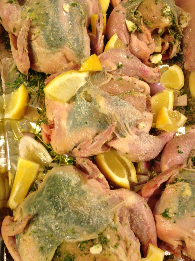 Tasty Recipe for Cornish Hen – Chef Paulette