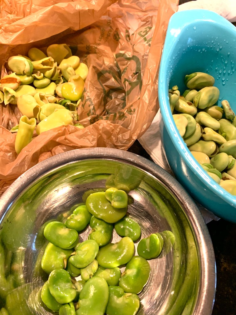 fava beans – Chef Paulette