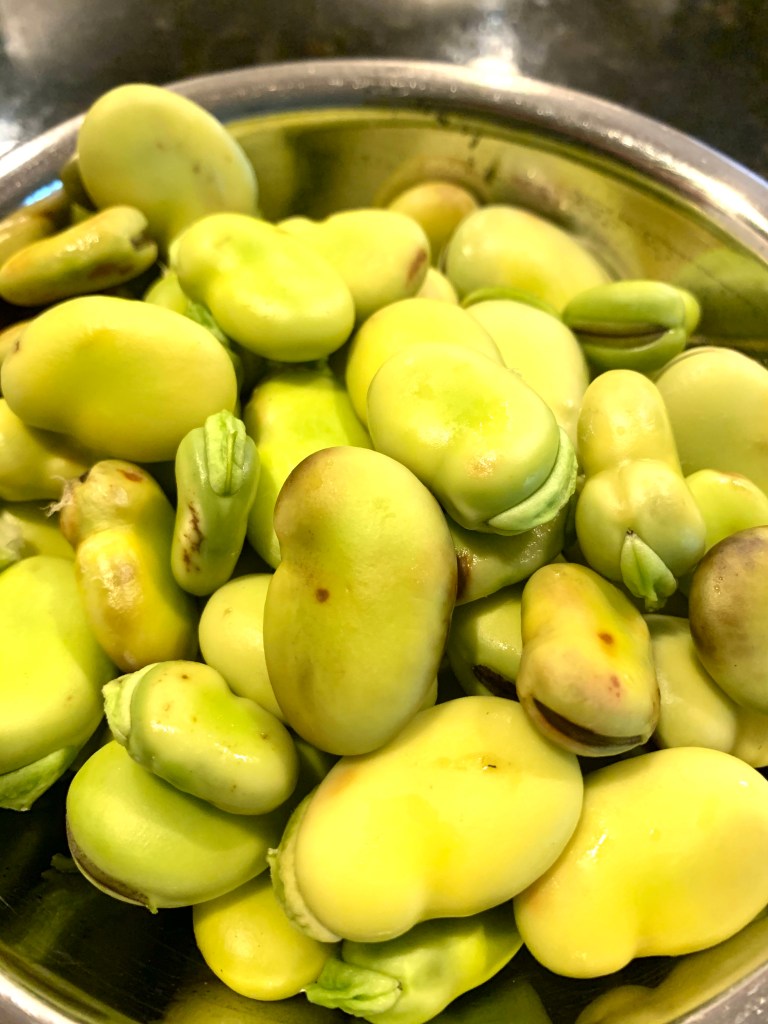 fava beans – Chef Paulette